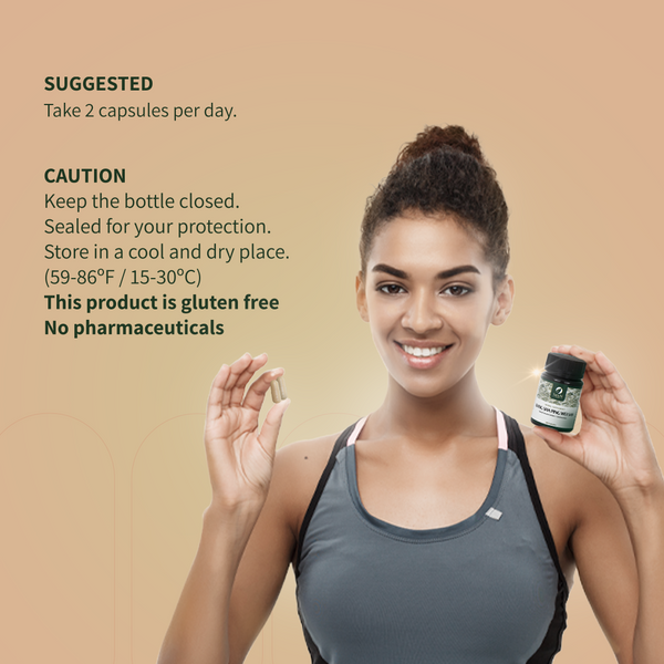 Du Huo Ji Sheng Tang – Sanchi Herbs