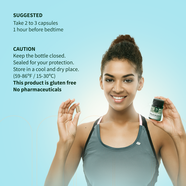 Dai Zhe Ye Jiao – Sanchi Herbs