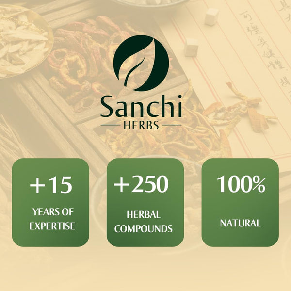 Bao Jian Mei Jian Fei Wan – Sanchi Herbs